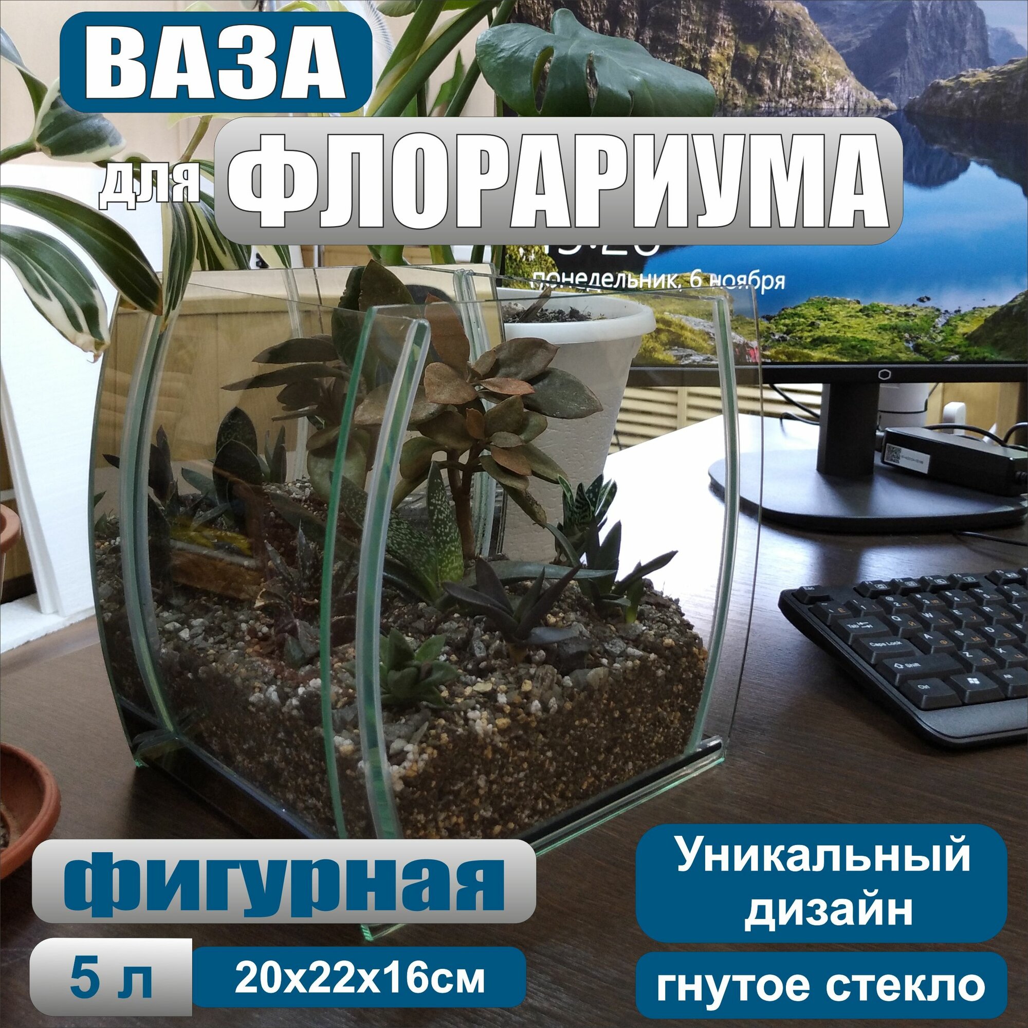 Ваза для флорариума, фигурная 5л, 20х22х16см, оригинальная форма, без крышки, для суккулентов, растений, декора
