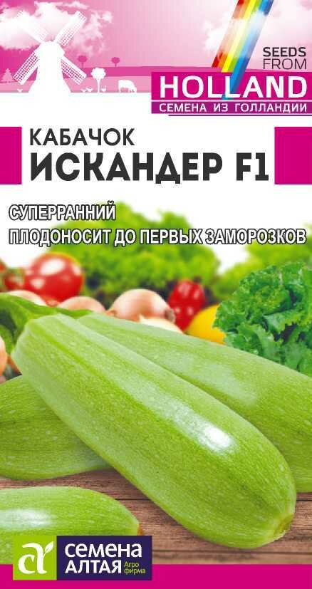 Семена кабачка Голландские семена "Искандер", гибридные, 5 шт