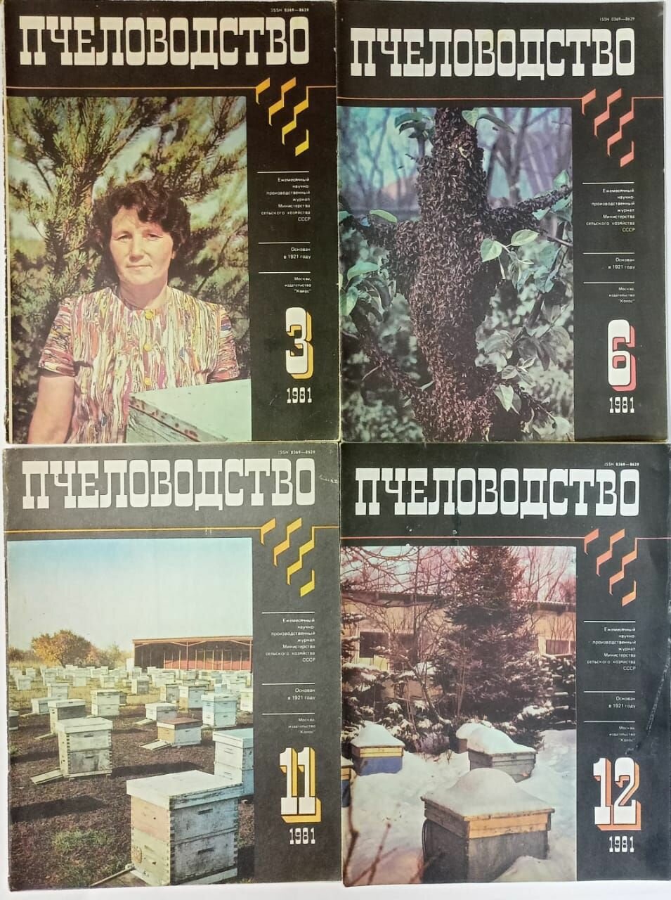 Журнал "Пчеловодство". Выпуск № 3,6,11,12/1981 (Комплект из 4 журналов)