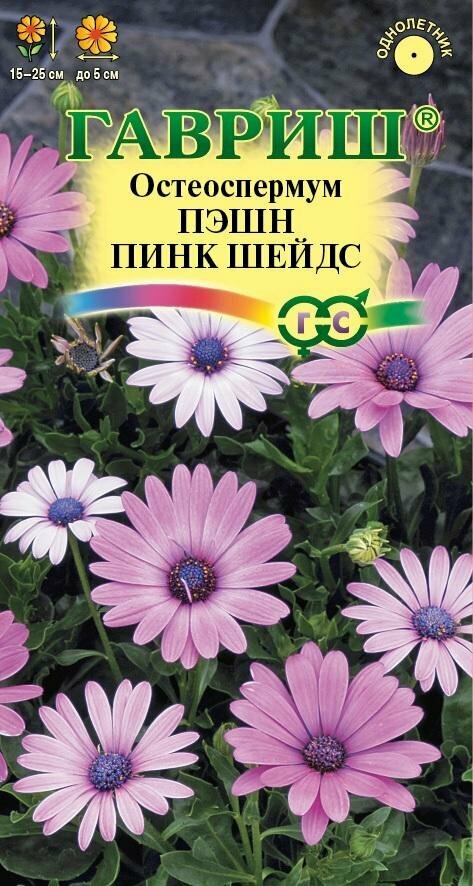 Цена за 10 пачек! Семена Остеоспермум Пэшн пинк шейдс 3шт Одн 25см (Гавриш)