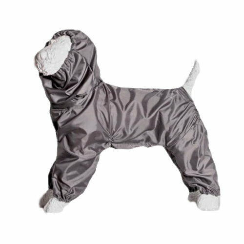 Комплект: Комбинезон-дождевик+Снуд (шапка) для КАВАЛЕР-КИНГ-ЧАРЛЬЗА-СПАНИЕЛЯ кобеля, повышенной прочности, цвет серый