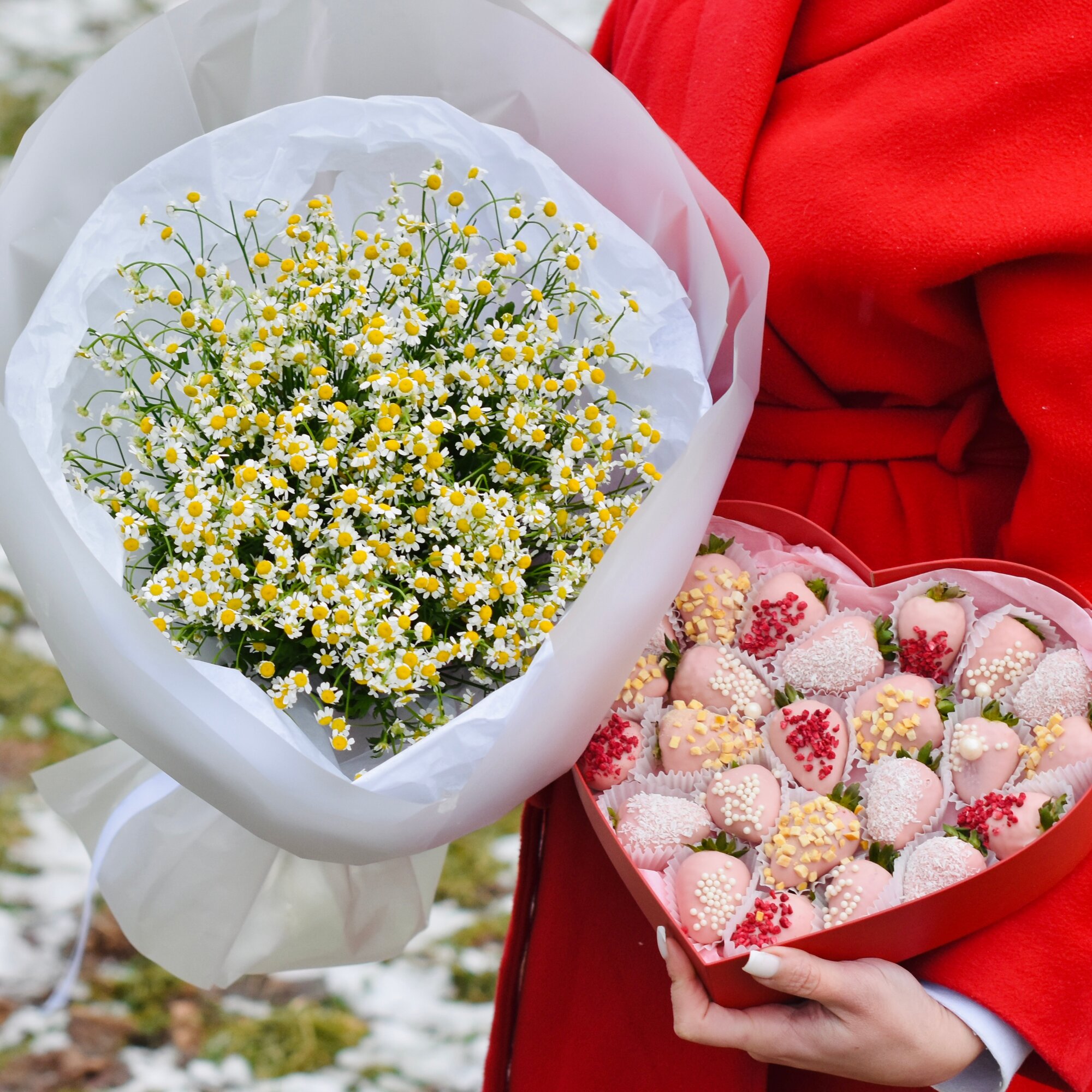 Букет из белых кустовых ромашек «Охапка лета» 21 шт, и ассорти премиум клубники в шоколаде, 20-30 шт - шикарный подарок для любимой девушки, мамы, коллеги или сестры