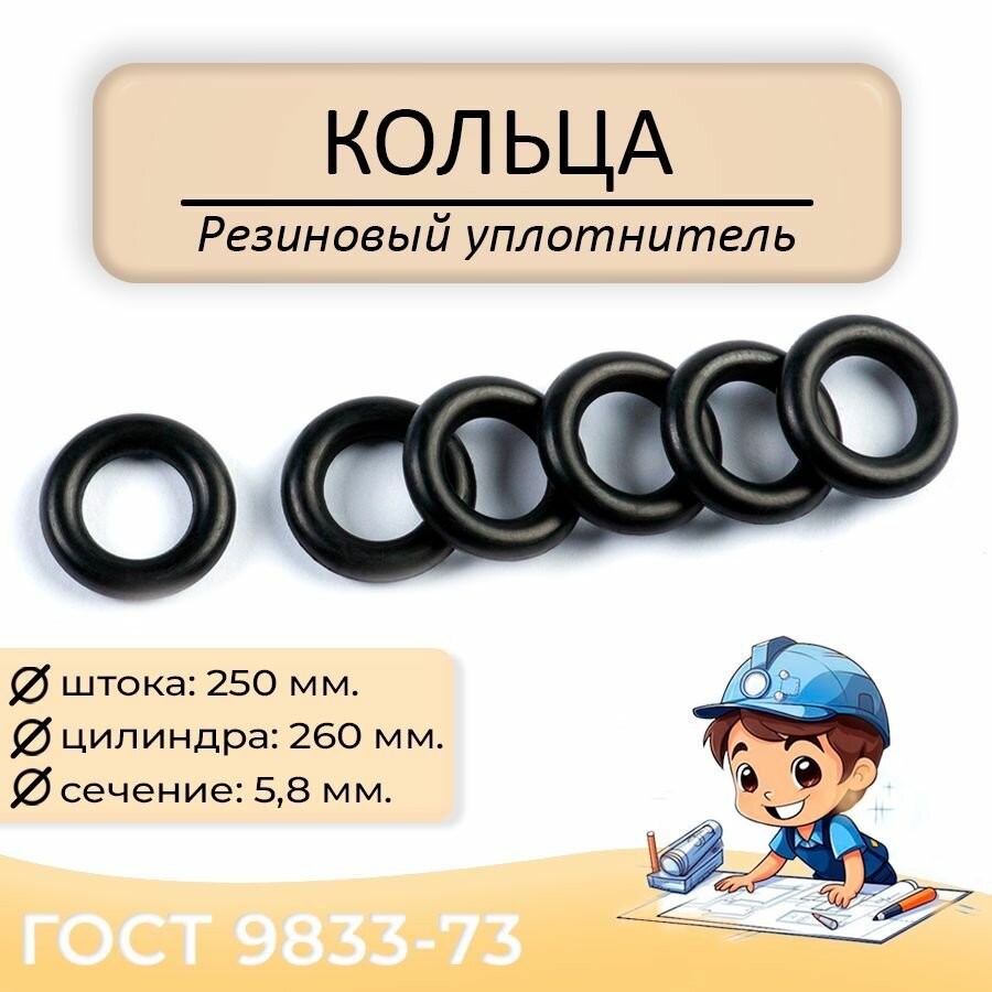 Уплотнительное кольцо 250-260-58 . ГОСТ 9833-73.