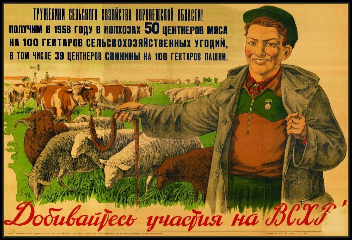 Плакат СССР ВДНХ (ВВЦ) выставка достижений народного хозяйства Всероссийская сельскохозяйственная выставка всхв; Антиквариат 1958 г; Винтаж размером 88/57 см.