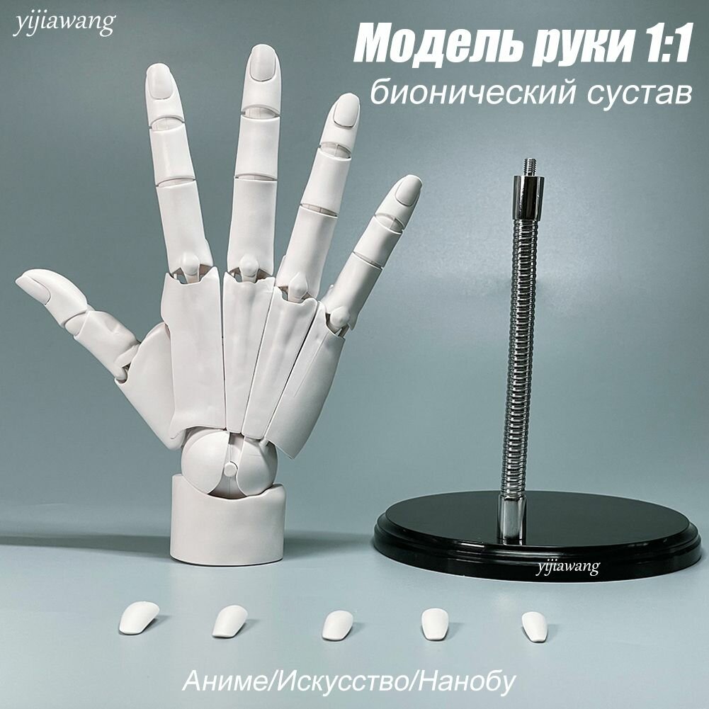 Подвижная модель правой руки манекена для художников и аниматоров Бангйонге