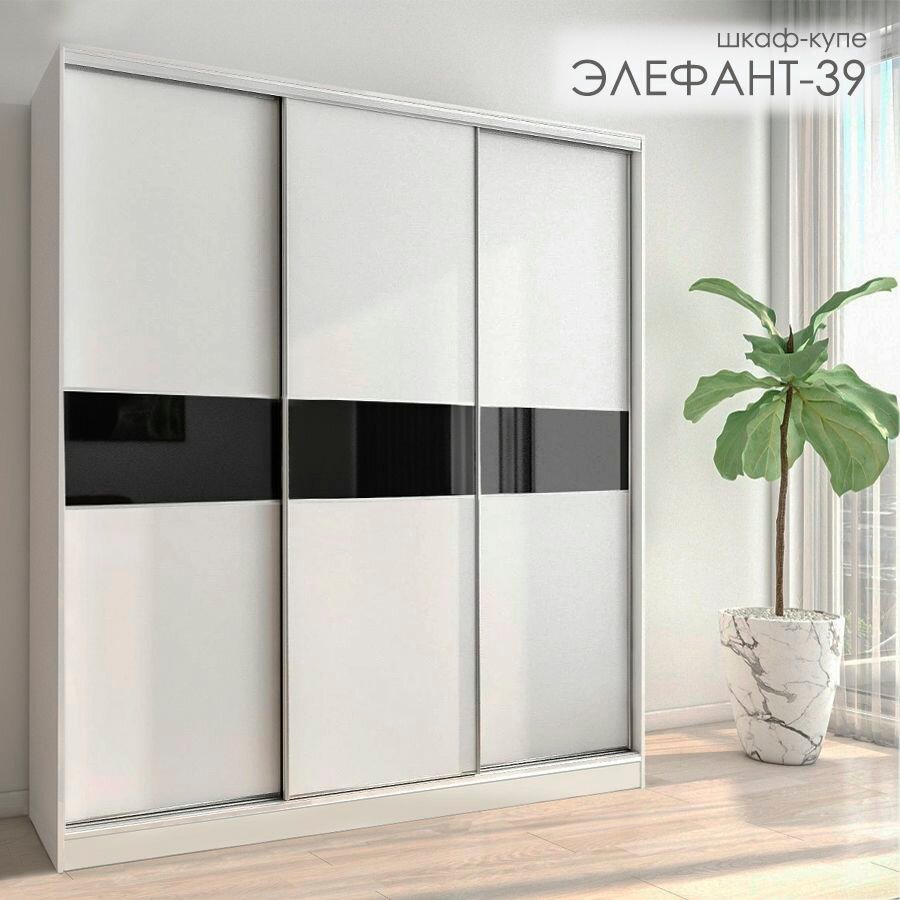 Шкаф-купе Элефант-39