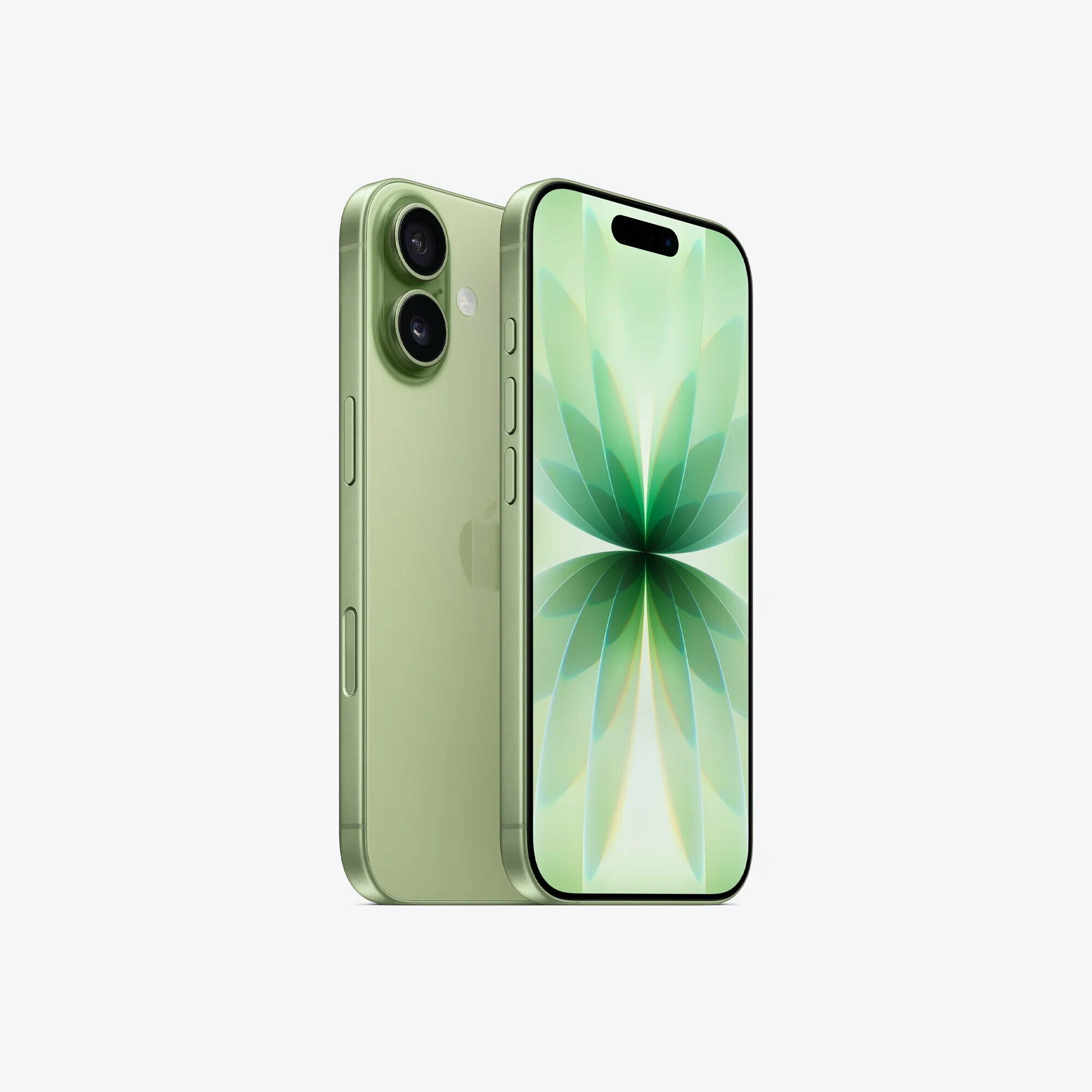 Смартфон Apple iPhone 17 256GB, Dual: nano SIM + eSIM, Sage (зеленый)