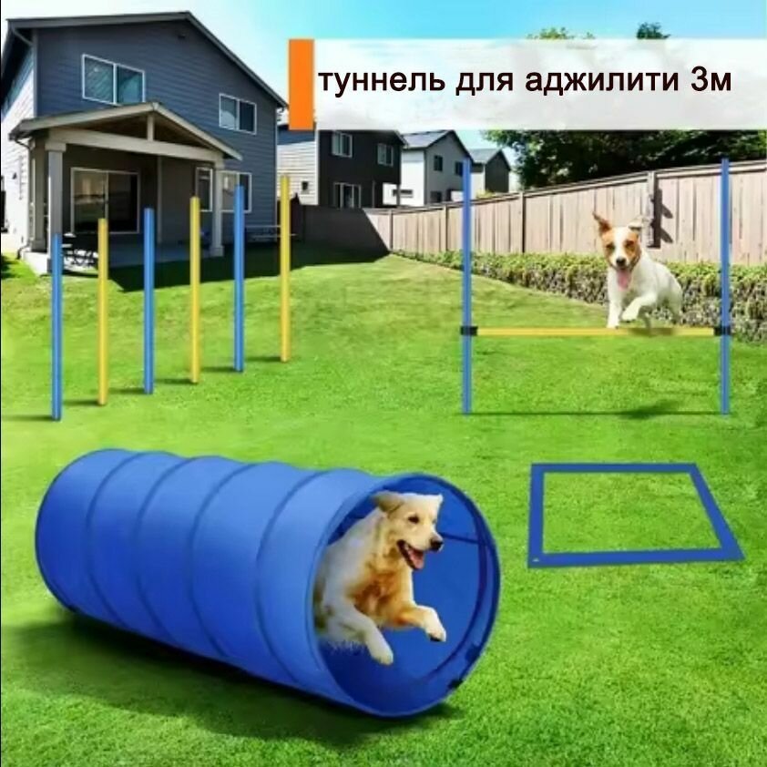 Снаряд для аджилити