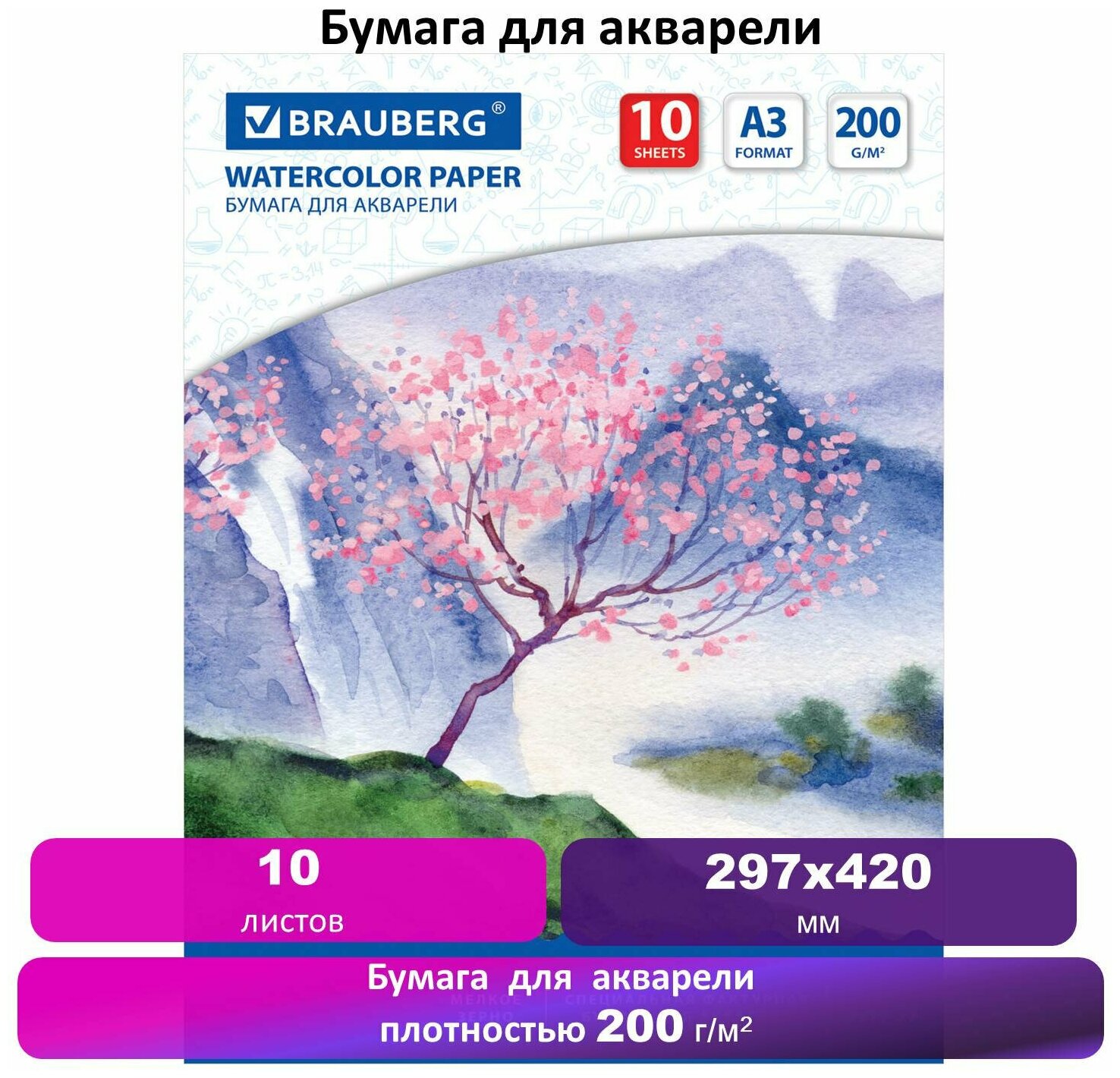 BRAUBERG Папка для акварели А3, 10л, 297х420 мм, Сакура, 125224