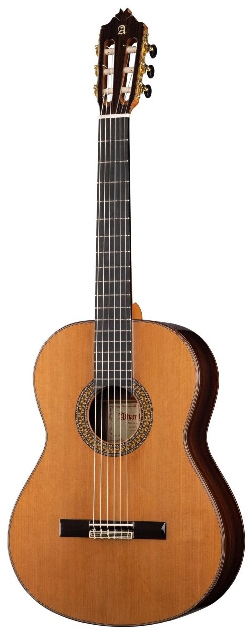 819-9P Classical Concert 9P Классическая гитара, с футляром, Alhambra