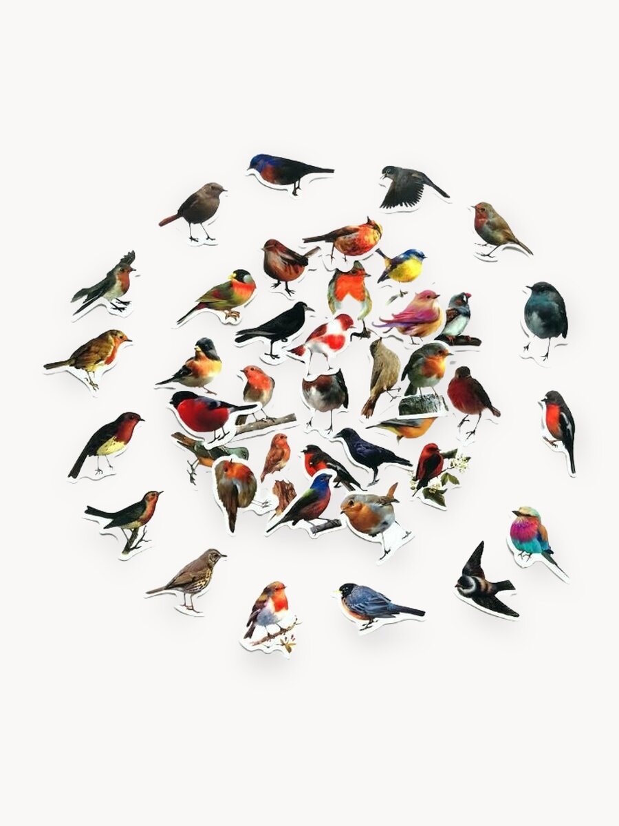 Набор наклеек "Птицы" для стикербомбинга / скрапбукинга, 40шт