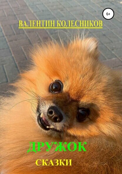 Дружок. Сказки [Цифровая книга]