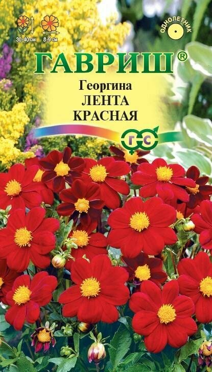 Семена Георгина Лента красная 0,2г Одн 30см (Гавриш)