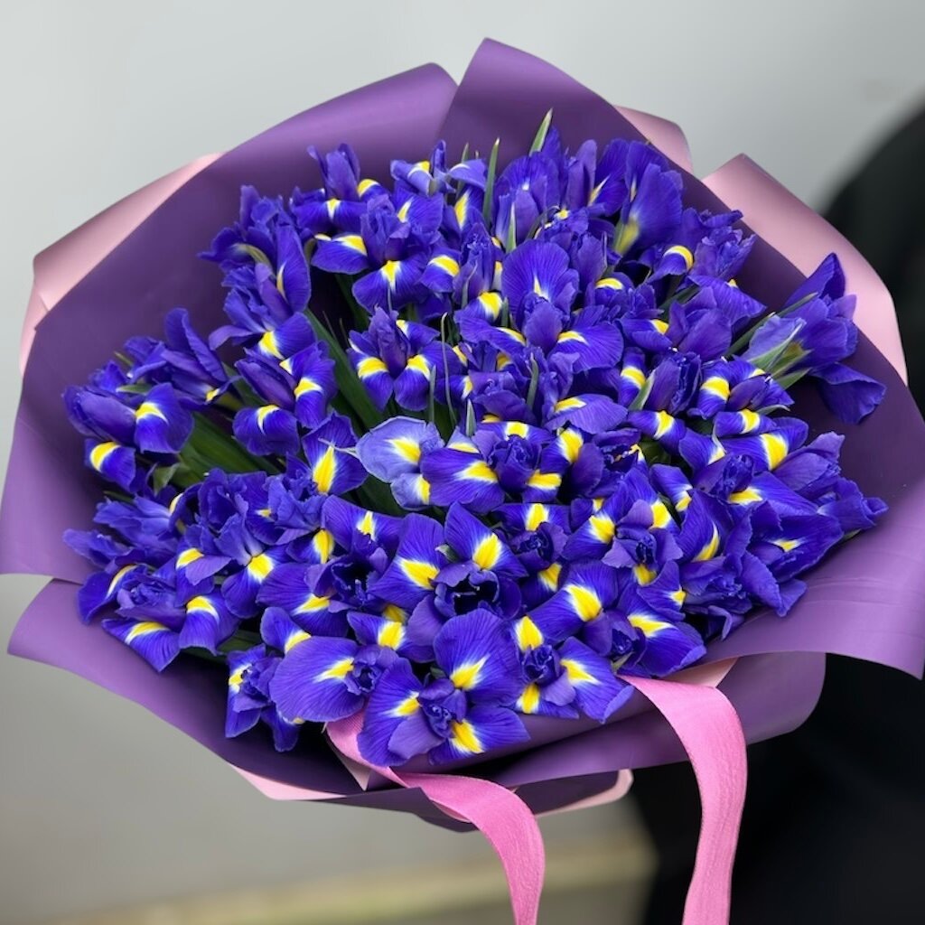 Букет из фиолетовых ирисов 101 шт, красивый букет цветов, шикарный, премиум цветы, премиум букет