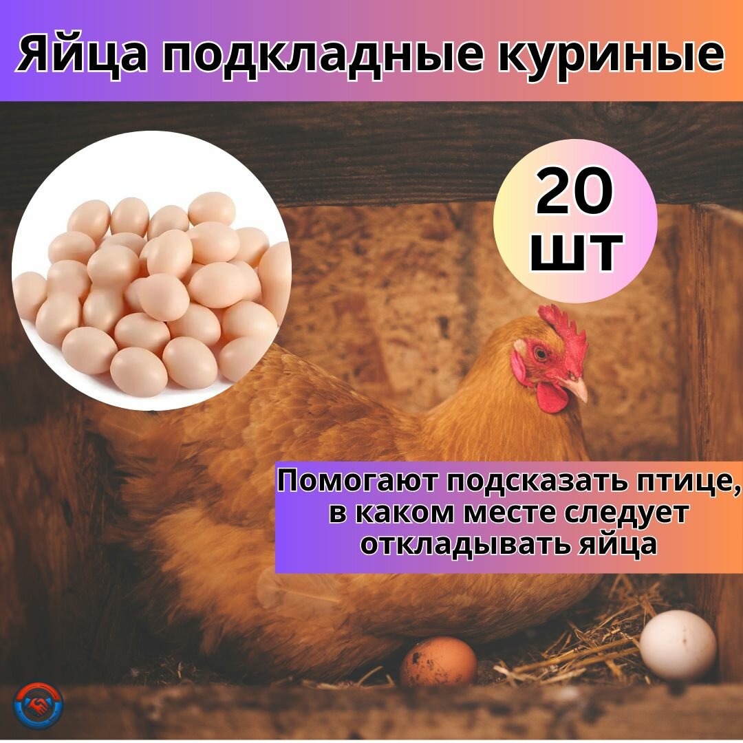 Набор из 20 оранжевых муляжей яиц для кур-несушек и творчества — для курятника, гнезд и детских поделок и декора