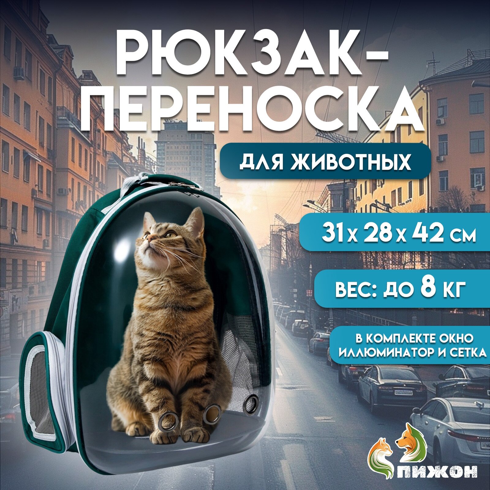 Рюкзак для переноски кошек и собак, прозрачный, 31 х 28 х 42 см, зелёный