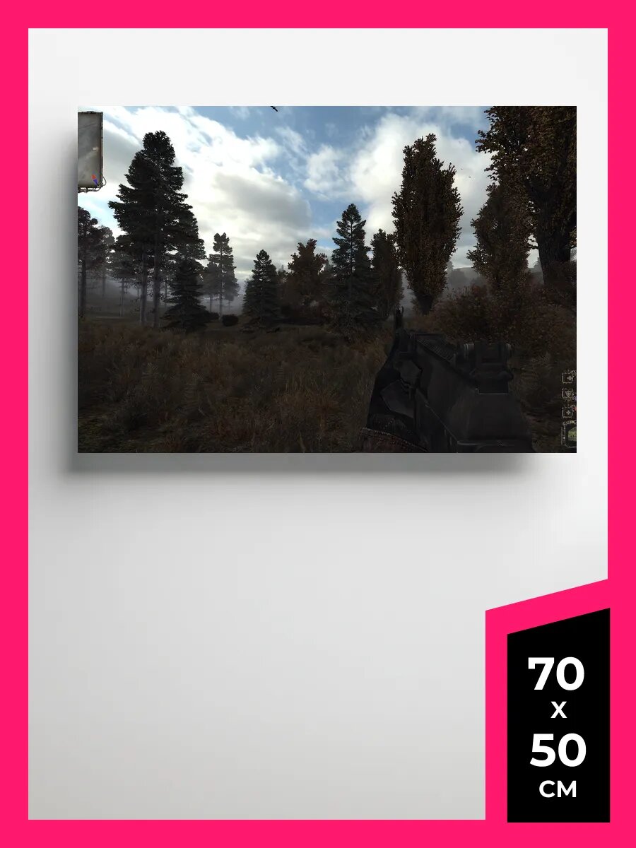 Постер Stalker плакат Сталкер 31 A5070, матовая фотобумага премиум качества