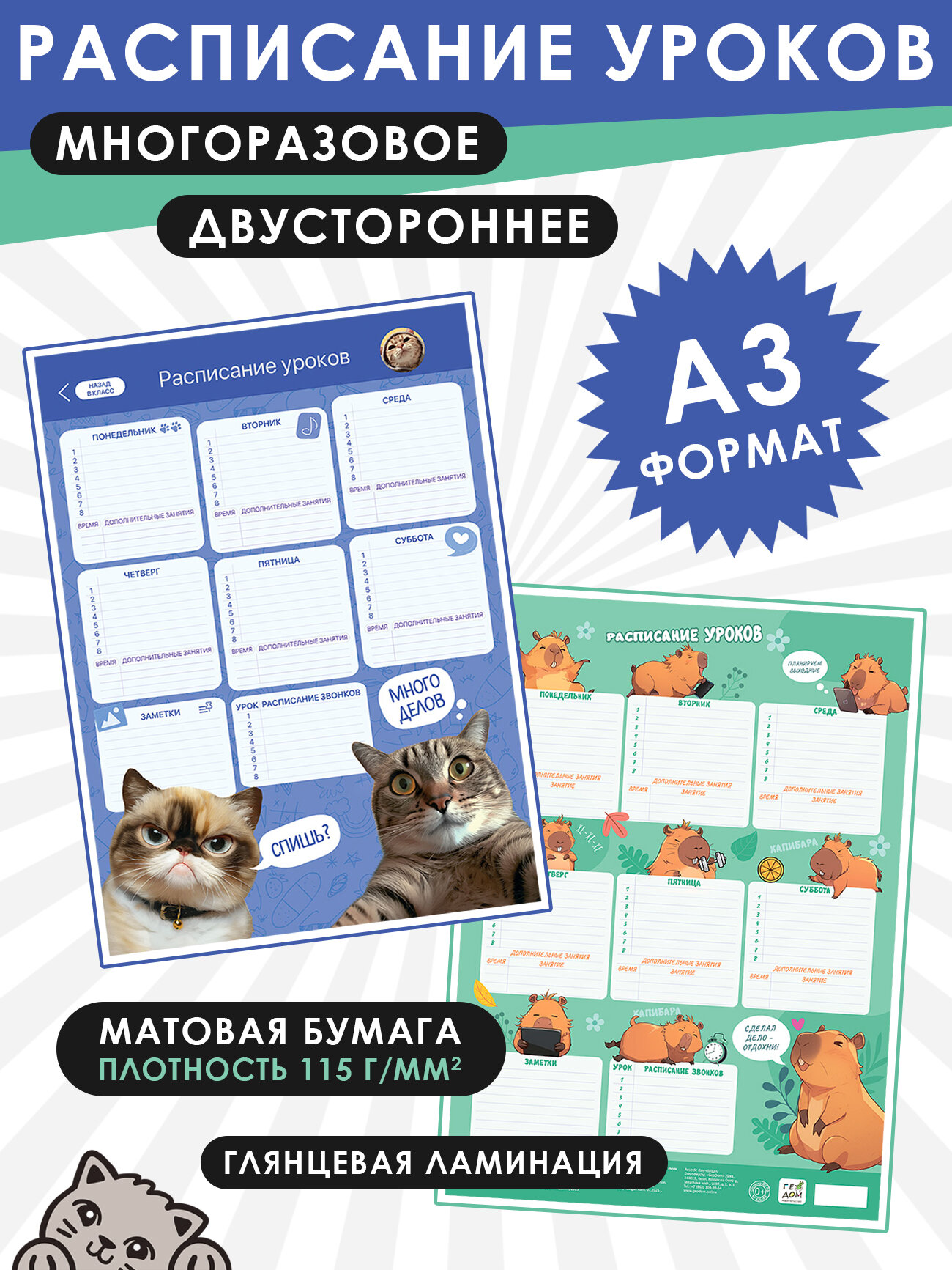 Геодом Расписание уроков многоразовое двустороннее "Капибара + Мемокотики"
