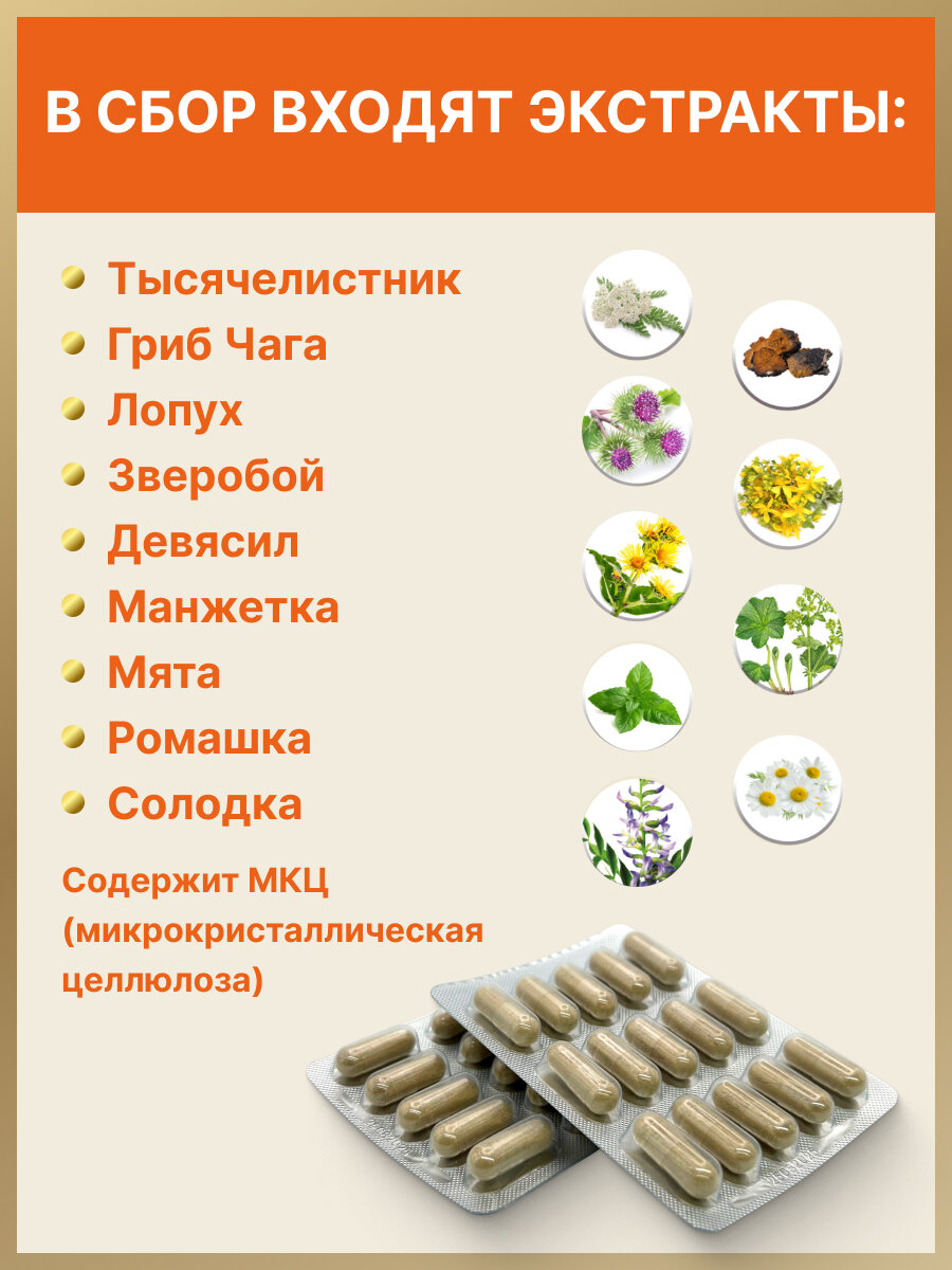 Биологически-активная добавка Добавь Алтай "Для желудка", для улучшения пищеварения, 60 капсул — фото 1
