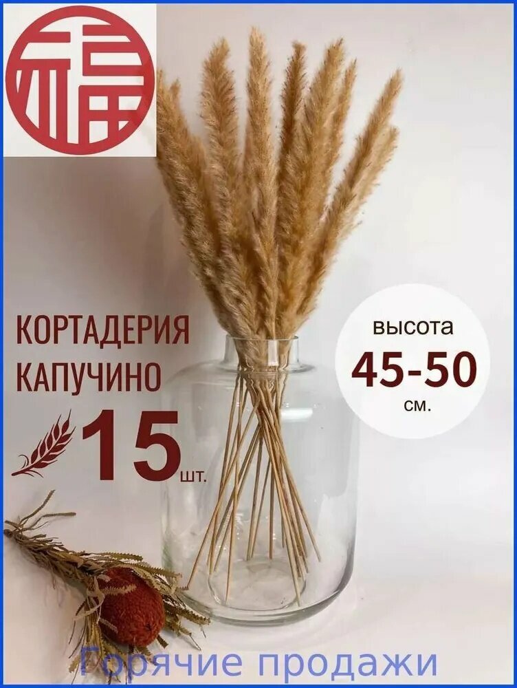 Сухоцветы Камышовая трава, 50 см, 70 гр, 15 шт