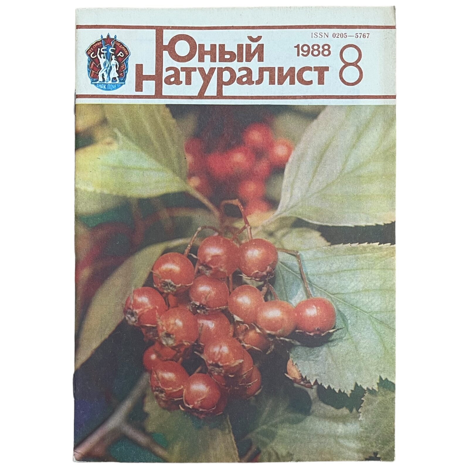 Журнал "Юный натуралист" №8, 1988 г. Изд. "Молодая гвардия", СССР