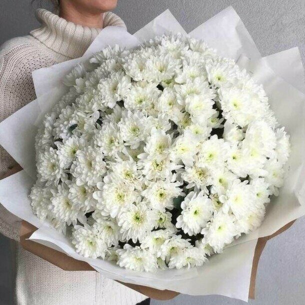 Букет "Well Flowers", 15 кустовых хризантем, круглый, XL, на стеблях, букет свежих цветов