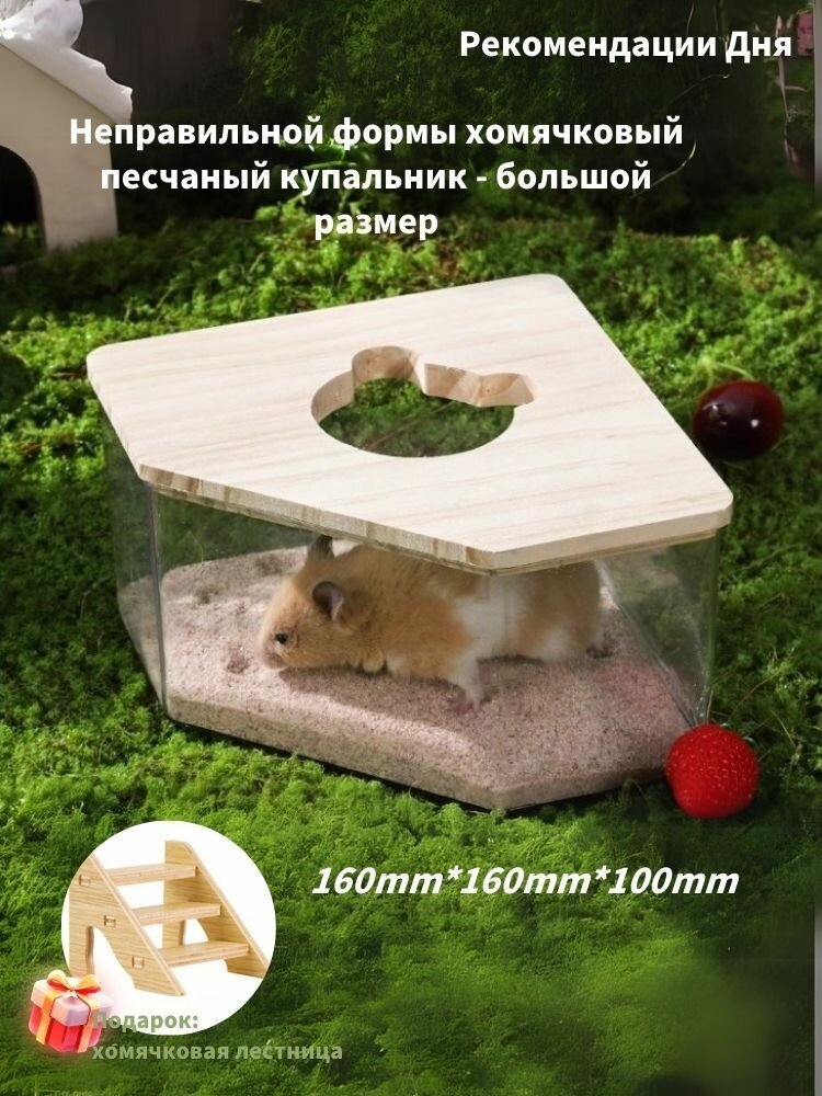 Купалка для мелких грызунов/Домик для хомяков, Бесплатная лестница для хомяка