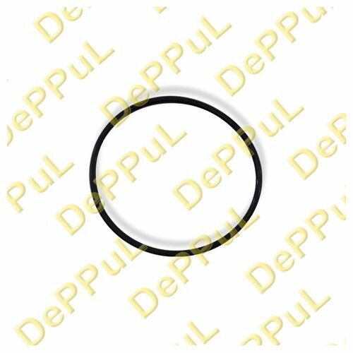 Кольцо уплотнительное насоса топливного FORD TRANSIT (06.) Deppul DEBZ0665