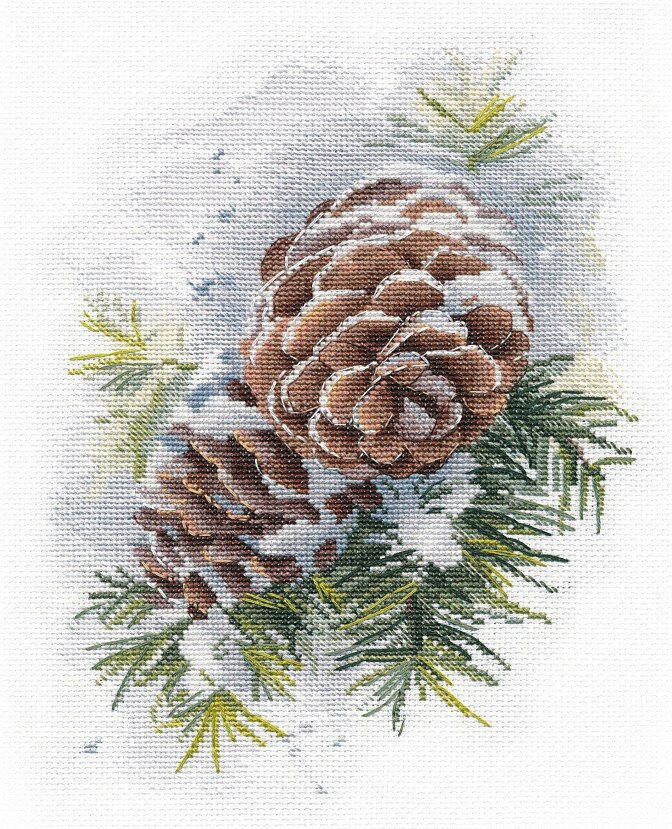 Зимние шишки 1570