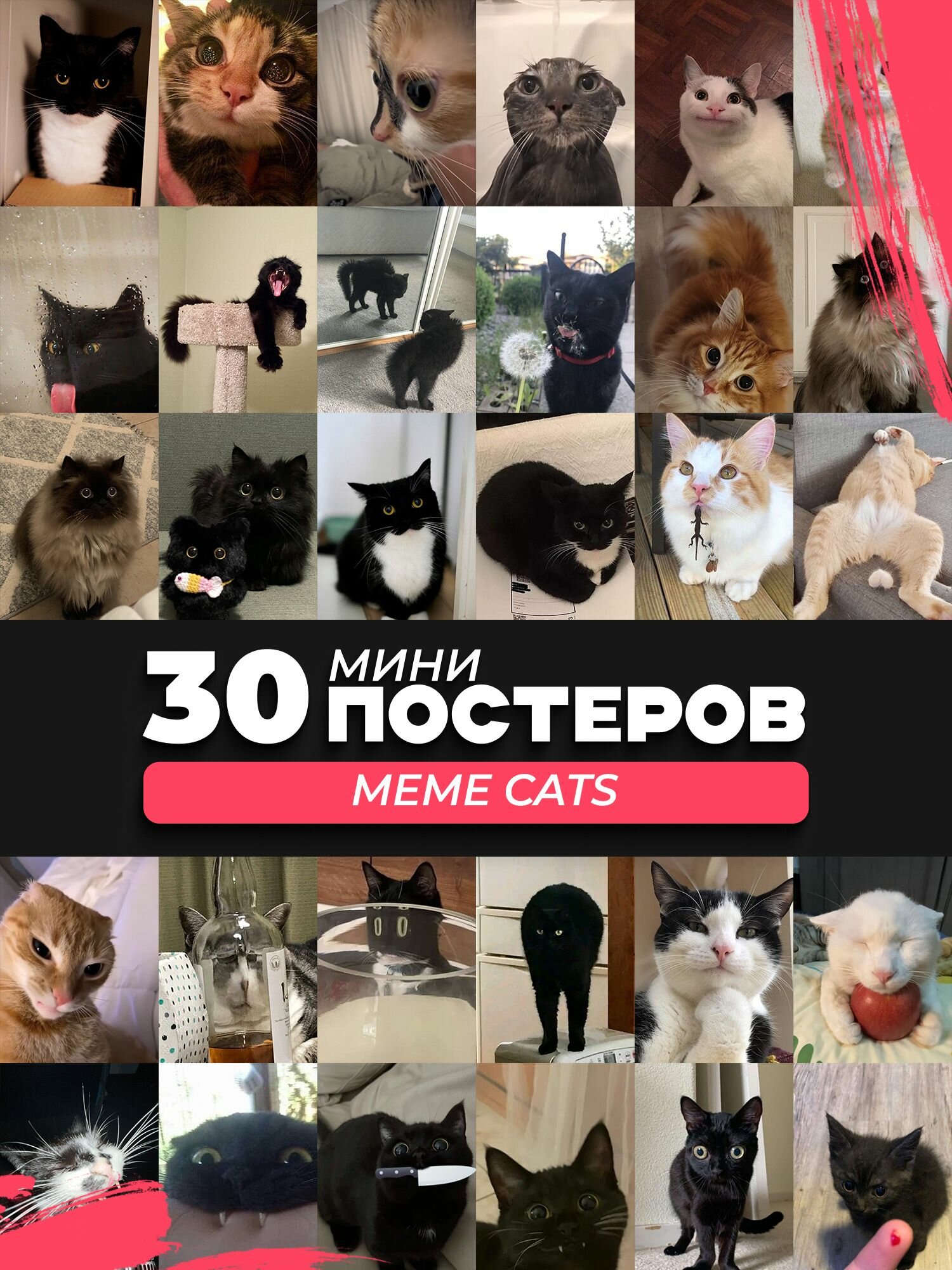 Набор мини постеров котики