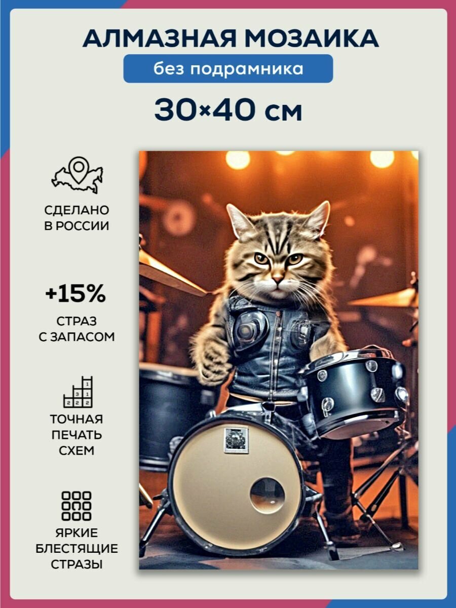 Алмазная мозаика 30x40 Кот Барабанщик без подрамника