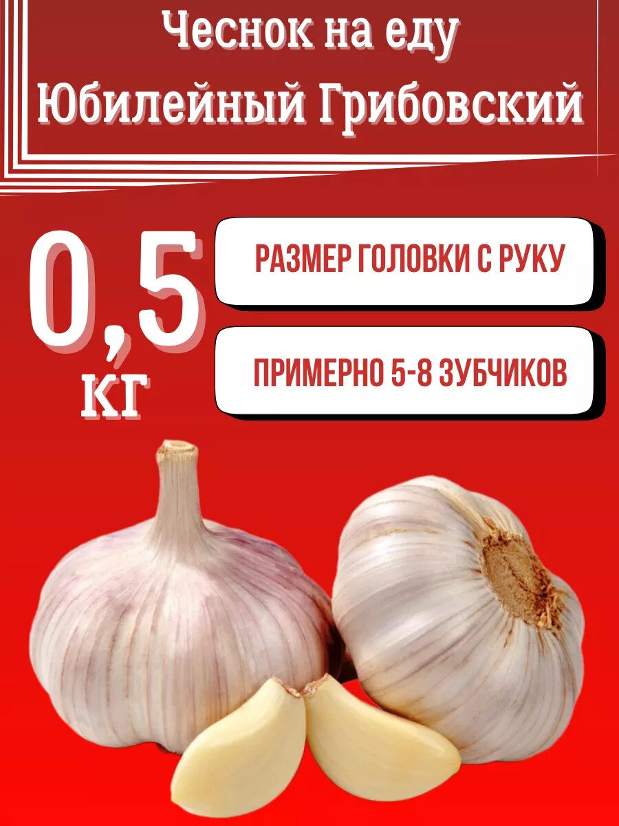 Чеснок для еды Россия.