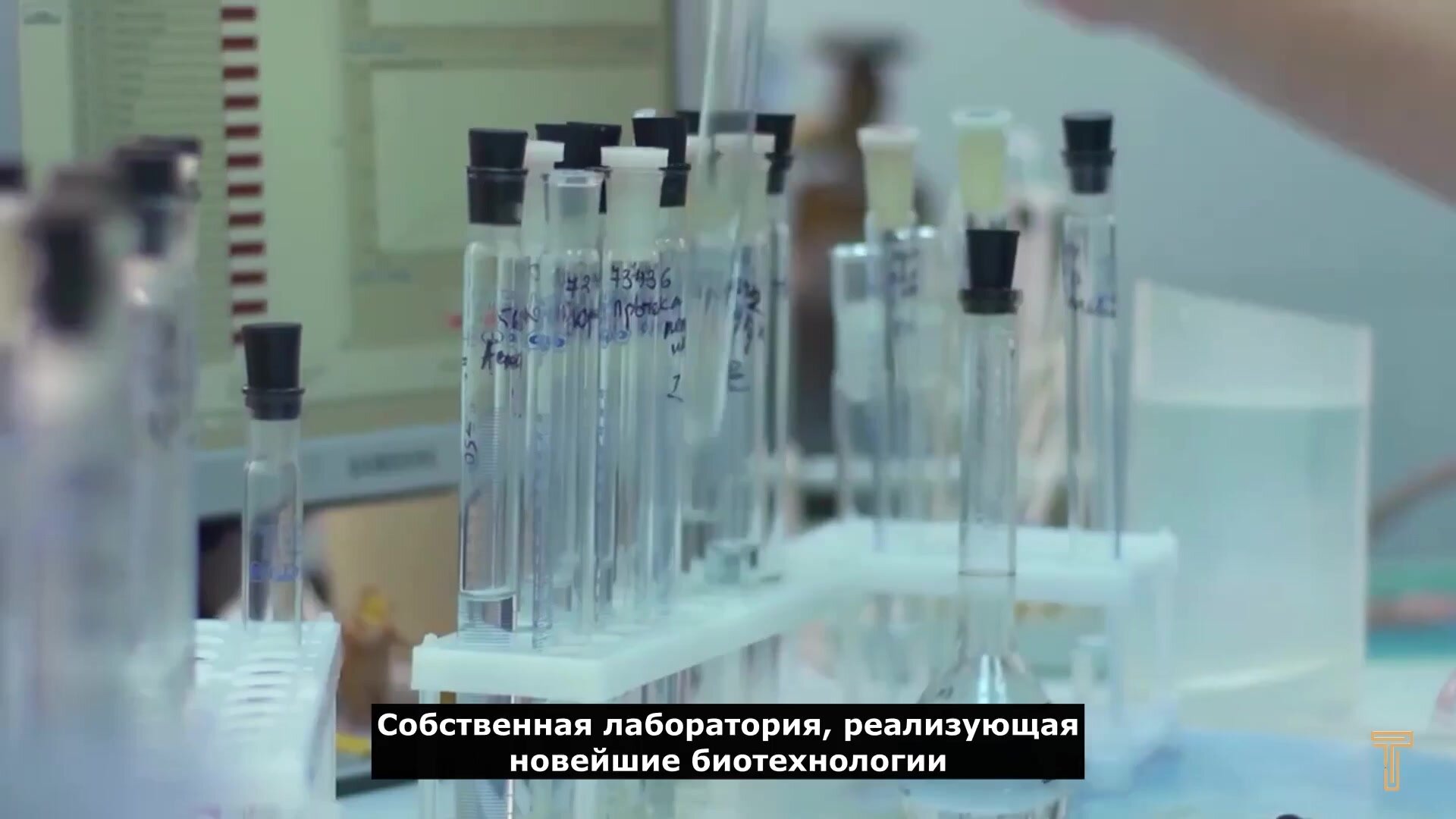 Пробиотик и пребиотик для кишечника, лактобактерии и бифидобактерии в ...