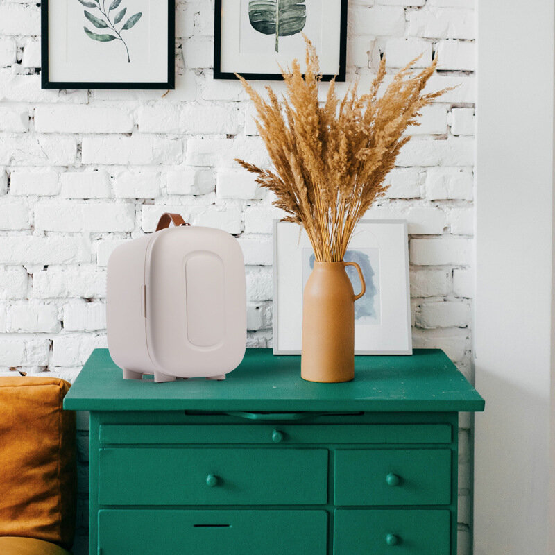 4L многоцветный мини-холодильник двойного назначения маломощный небольшой холодильник портативный автомобильный