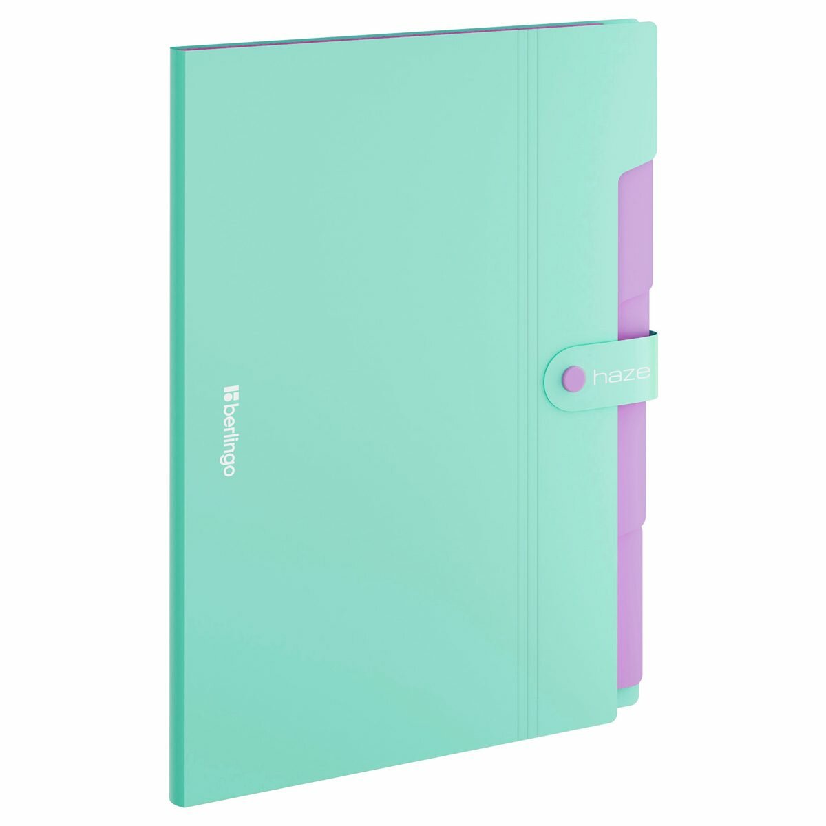 Папка-органайзер на кнопке Berlingo Haze (А4, 5 отделений, 600мкм, софт-тач) мятная (XF4_05922)