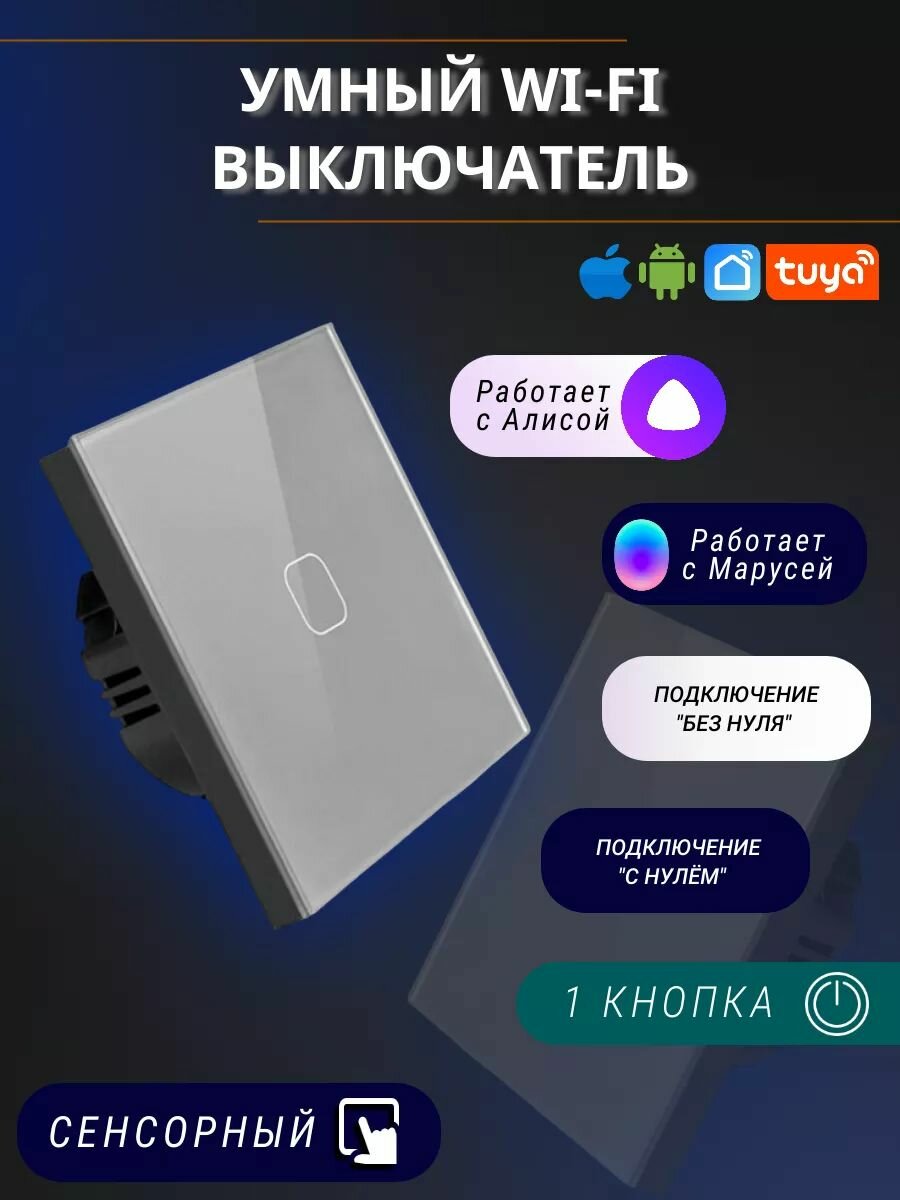 Сенсорный электронный двухклавишный wifi выключатель tuya