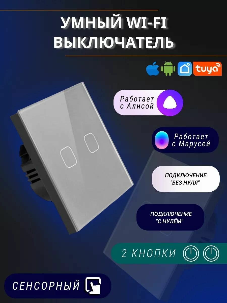 Сенсорный электронный двухклавишный wifi выключатель tuya