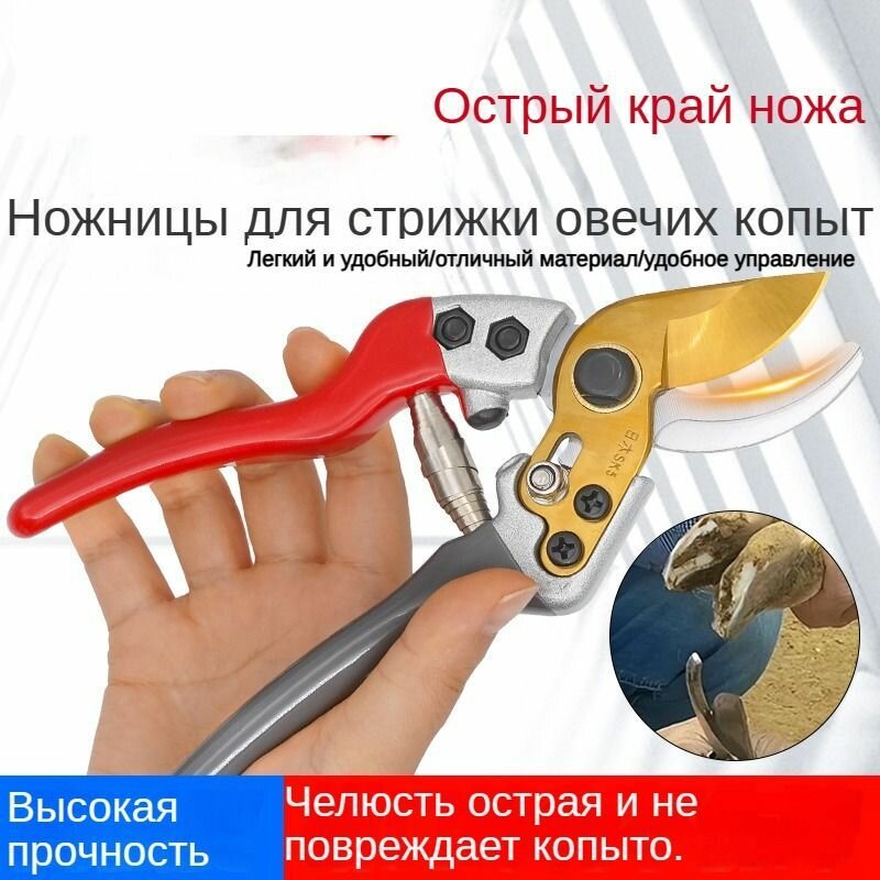 Ножницы для обрезки копыт овец, коз, МРС суперострые TONG (CHINA)/ копытные ножницы коз и овец для ветеринарии для животноводства
