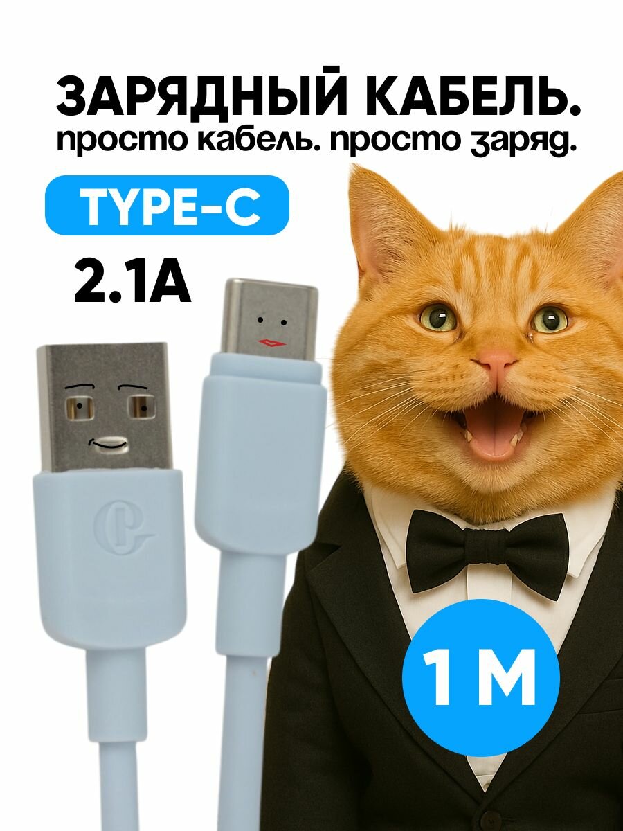 Кабель Gpengkj, USB Type-C/Type-A, 2.1 A, 1 метр, синий, для андройдов