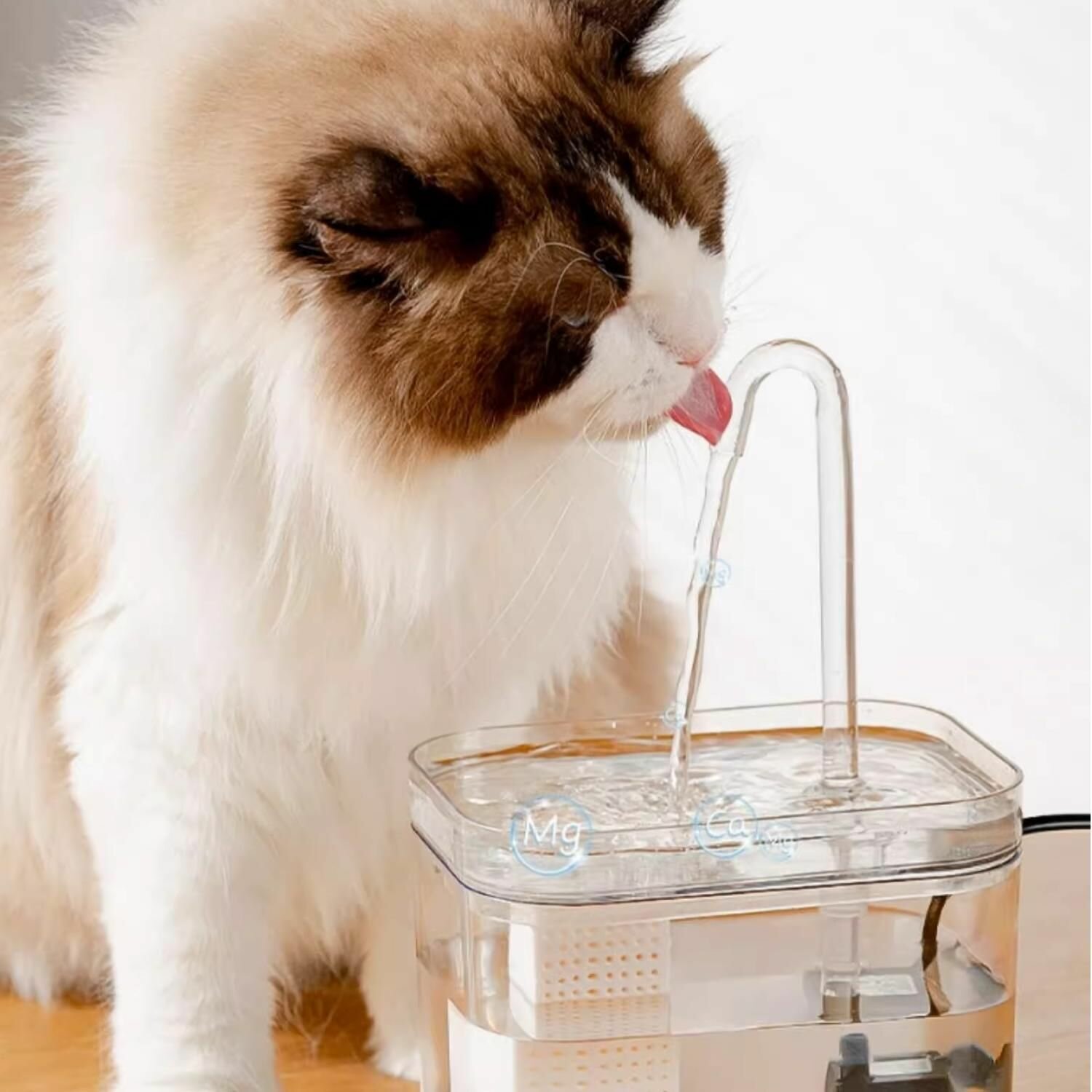 Поилка для животных, Автопоилка для животных, Поилка для питомцев с насосом