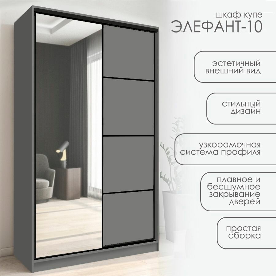 Шкаф-купе Элефант-10
