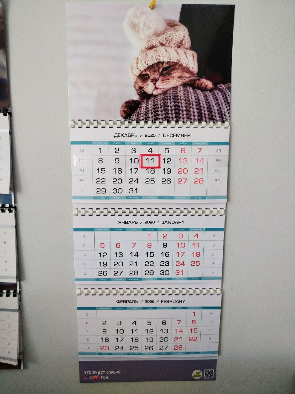 Календарь квартальный 2026 настенный кот в шапке