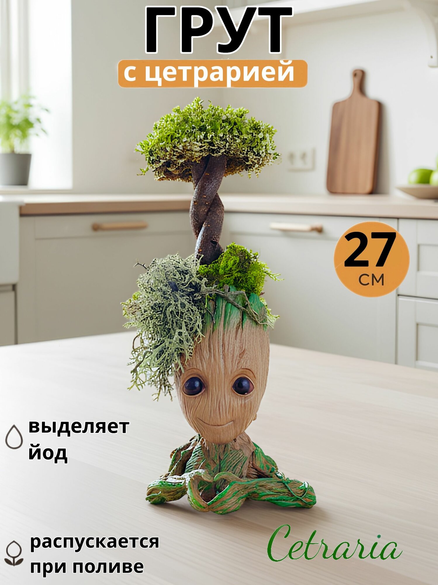 Статуэтка Грут Marvel исландский мох живой Цетрария