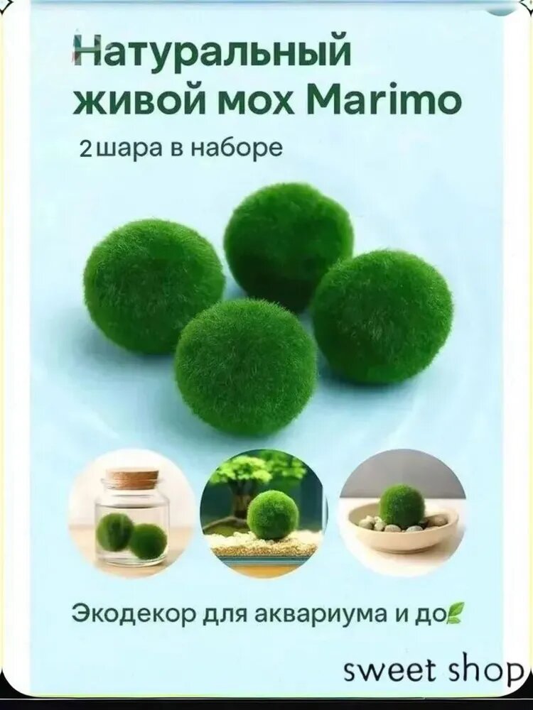 Шаровидная кладофора (мох маримо) 1см 2шт для аквариума и декора