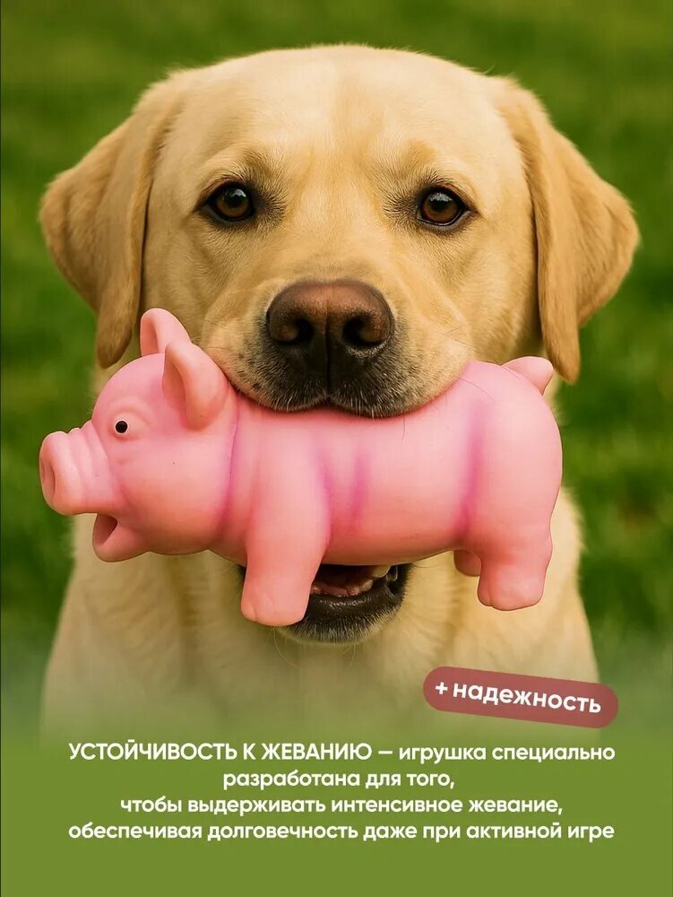 Пищалка-игрушка для собак "Свинья хрюкающая" SSY, резина, 16см, темно-розовая