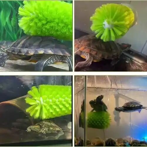 Зеленая щетка для чистки панциря черепах с присоской - отшелушивающий уход за спиной аквариумных черепах