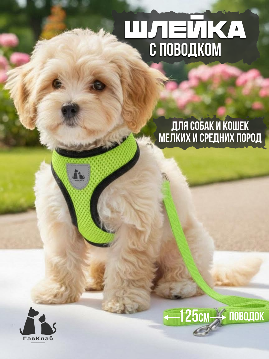 Шлейка для собак, прогулочная, с поводком, для маленьких пород