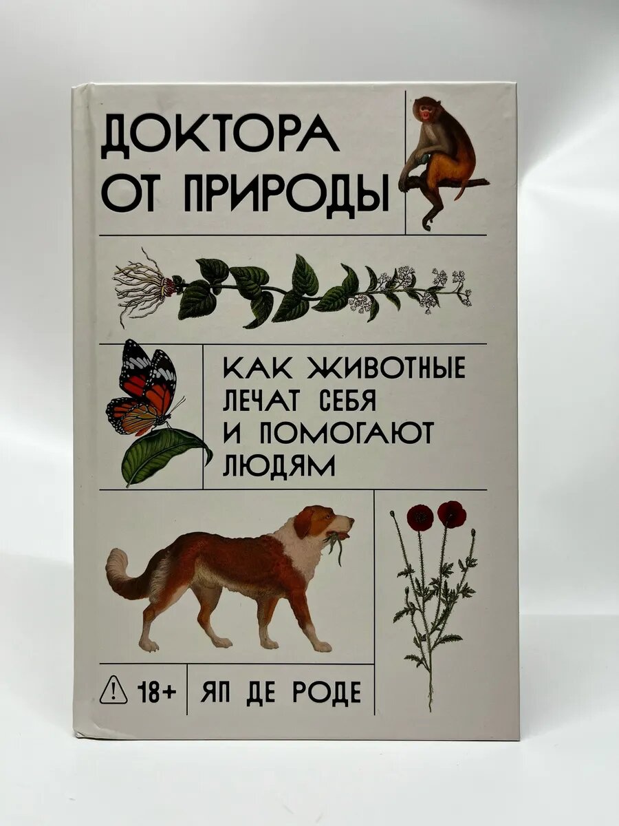 Яп де Роде. Доктора от природы