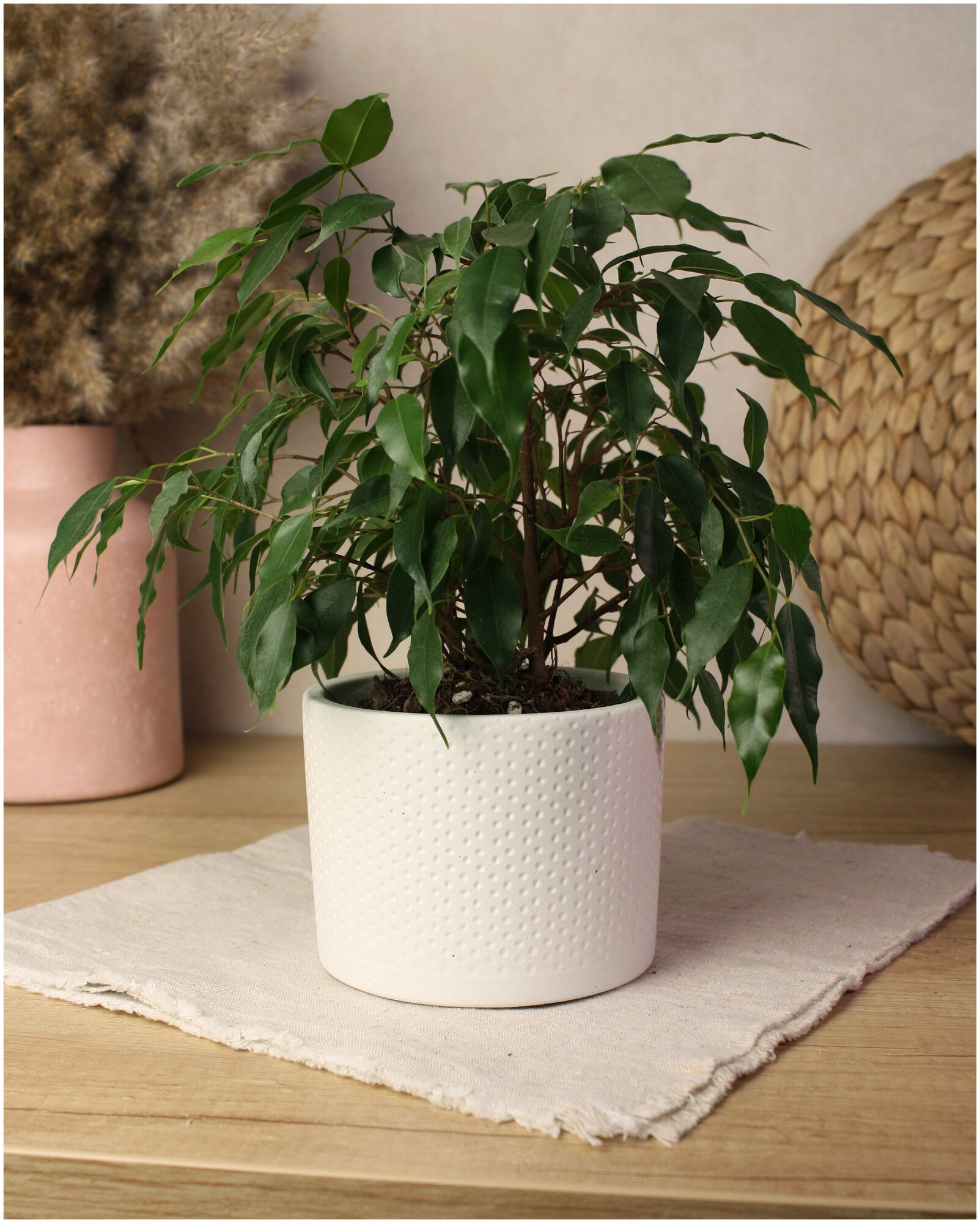 Горшок для цветов, кашпо "Dots" BUANO, 12 см х 9 см, 0.7 л, белый, бетон, 1 шт.