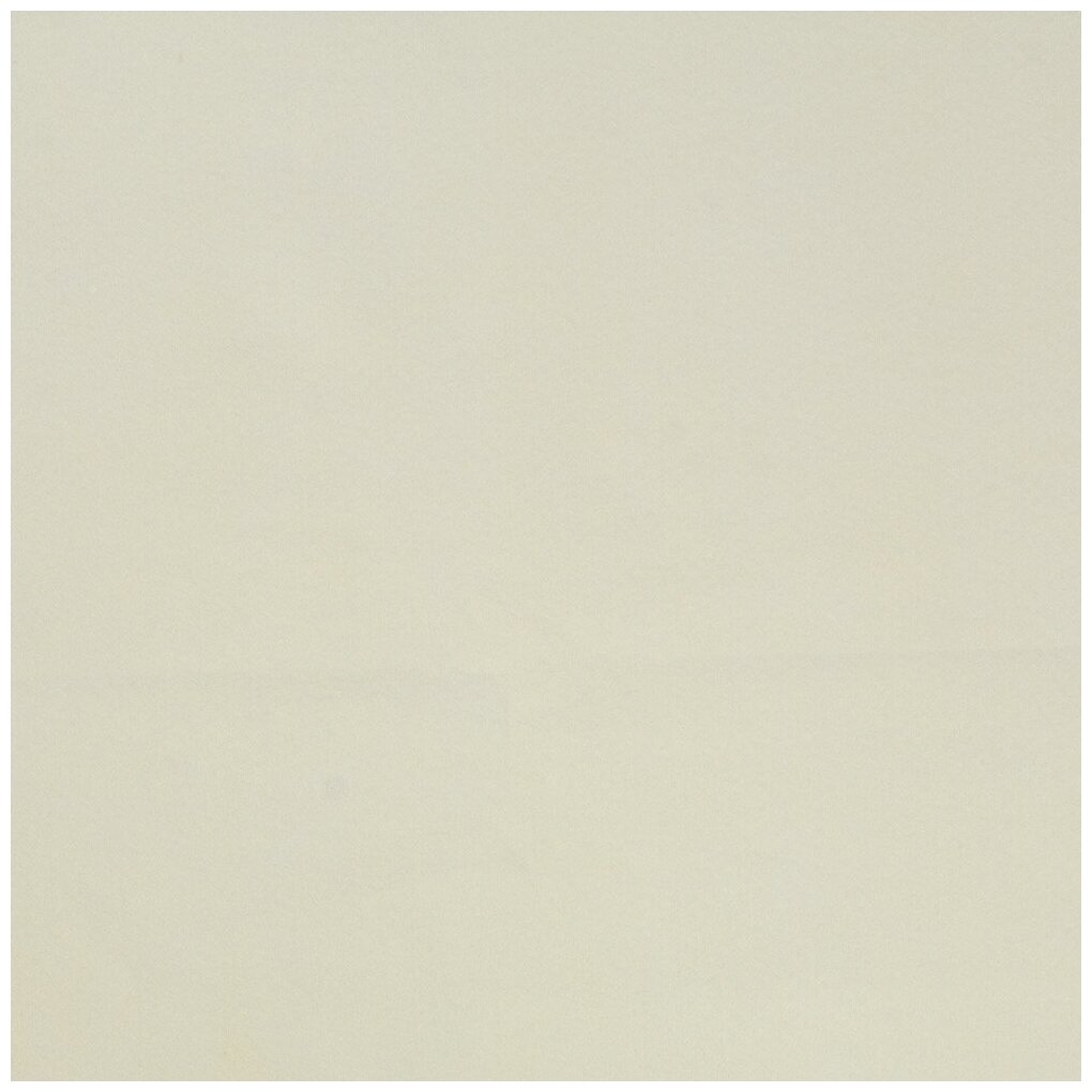 Фетр декоративный Gamma Premium, 48х48+/-2 см, 223, белый (FKX07-48/48)